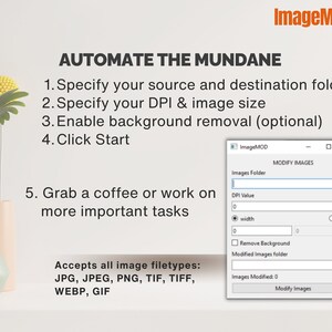 Bulk Image Upscaler, Resizer, Background Remover. Program for ...