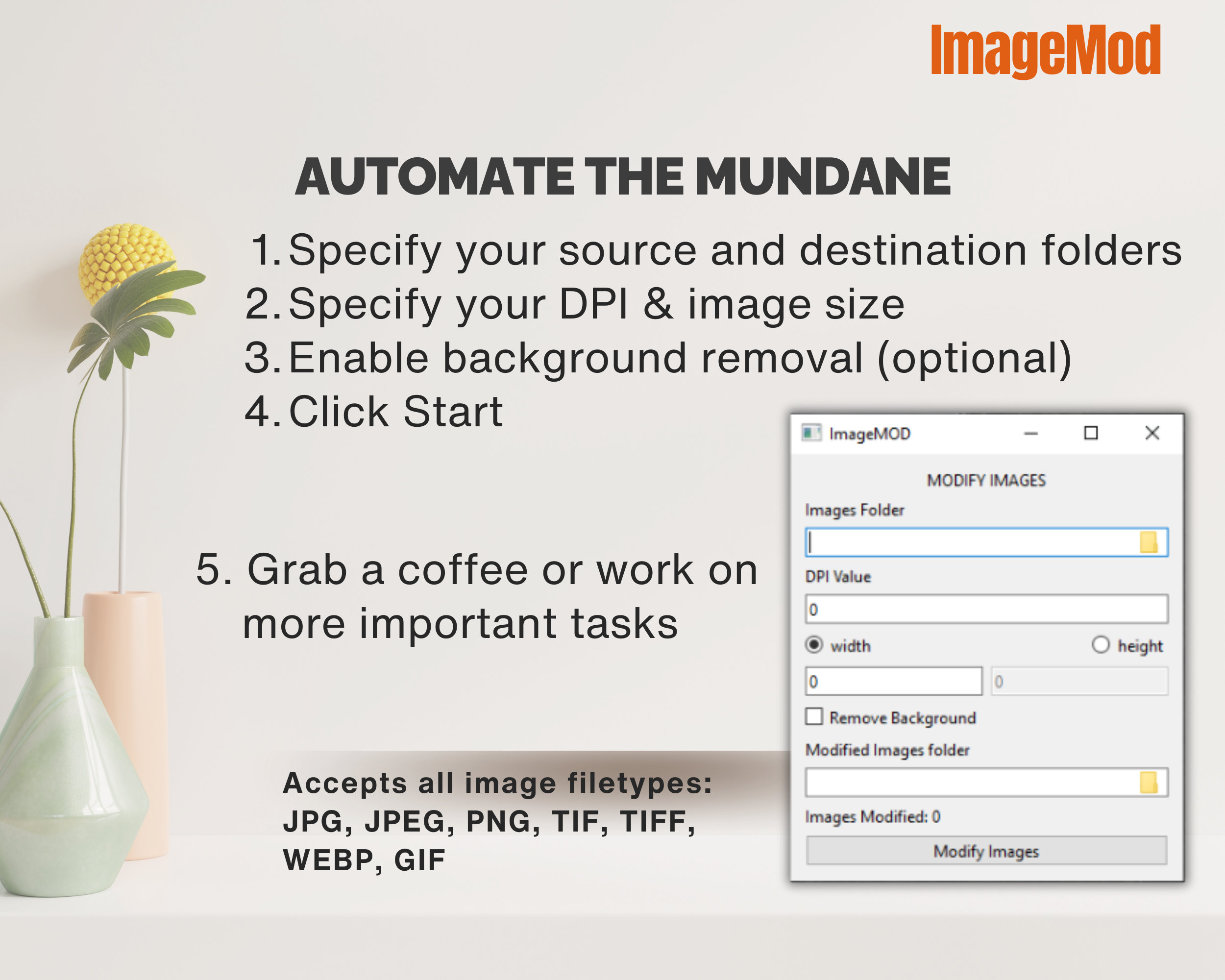 Bulk Image Upscaler, Resizer, Background Remover. Program for ...