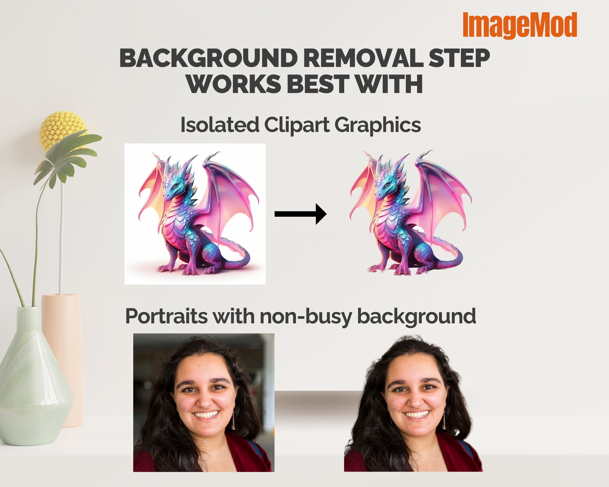 Bulk Image Upscaler, Resizer, Background Remover. Program for ...
