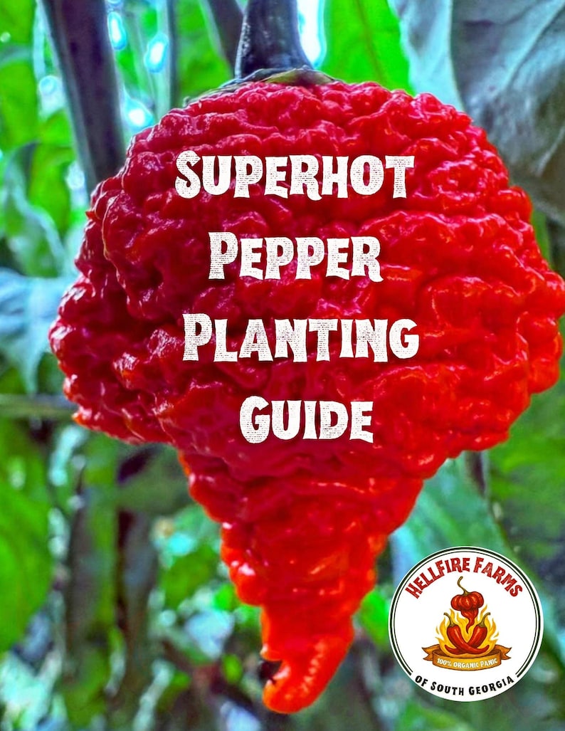 Superhot Pepper Planting Guide - Etsy