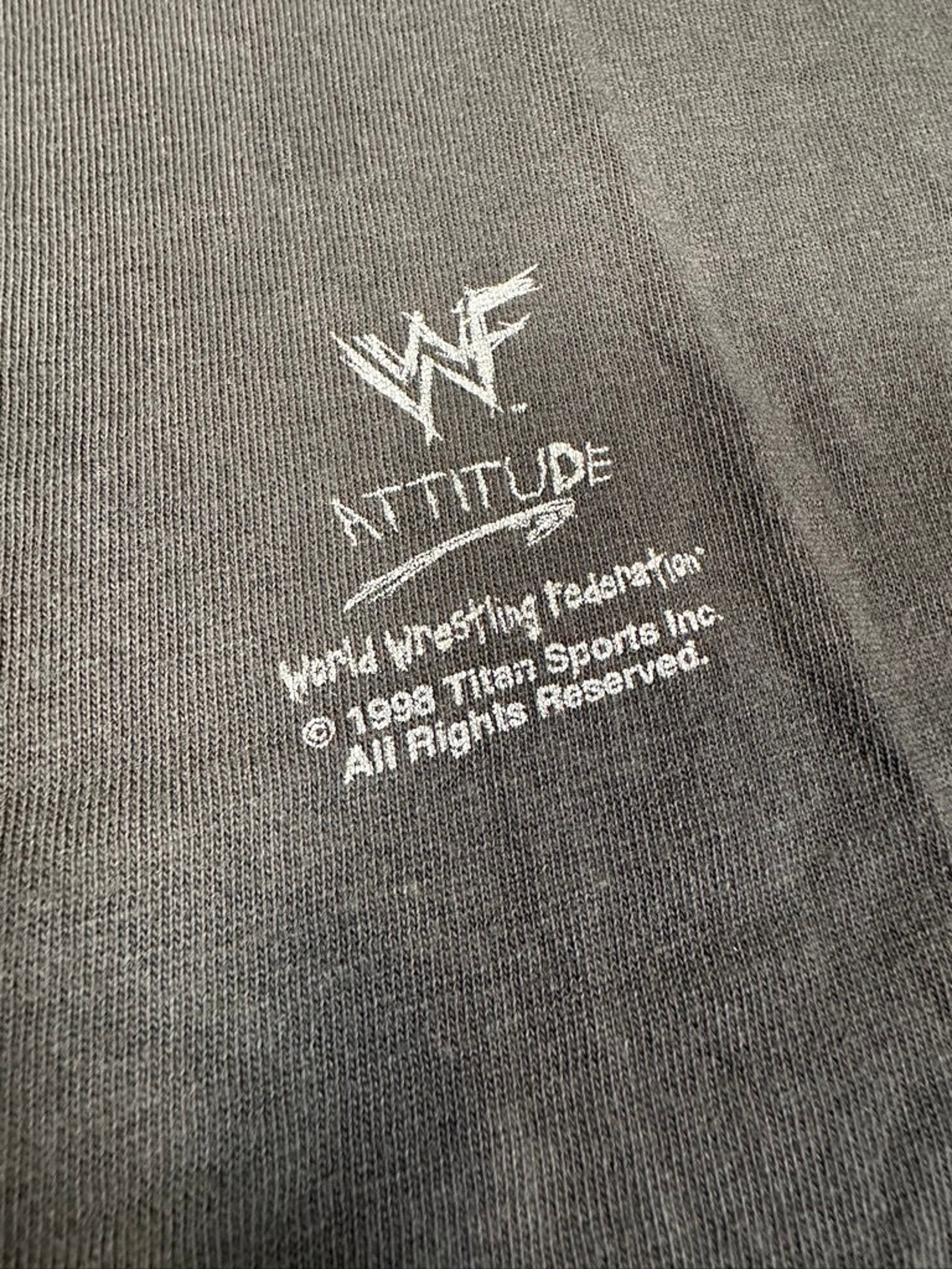 STONE COLD SKELETON Steve Austin 3:16 1998 Vintage Tee Wwf - Etsy