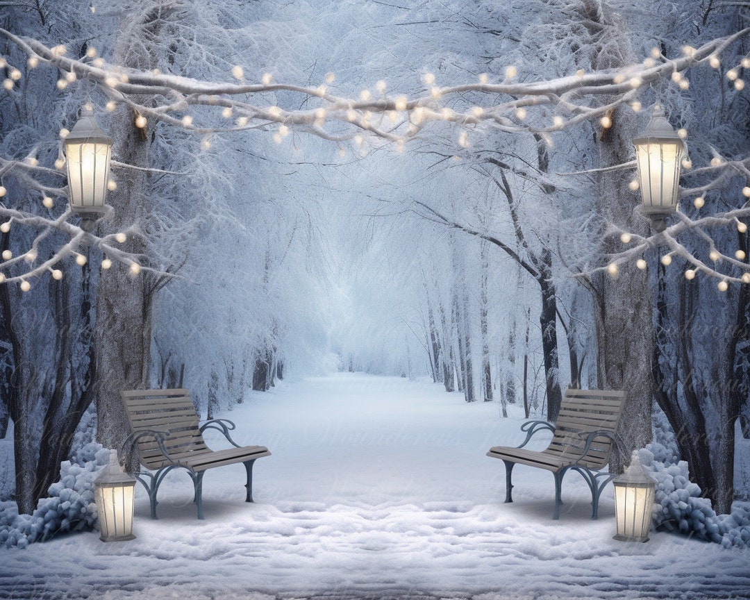Christmas Backdrop, Winter Magic, Winter, Snowy Forest, Magical ...