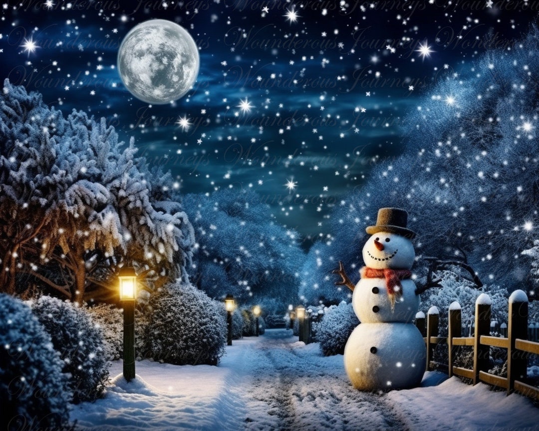 Christmas Backdrop, Winter Magic, Winter, Snowy Forest, Magical ...