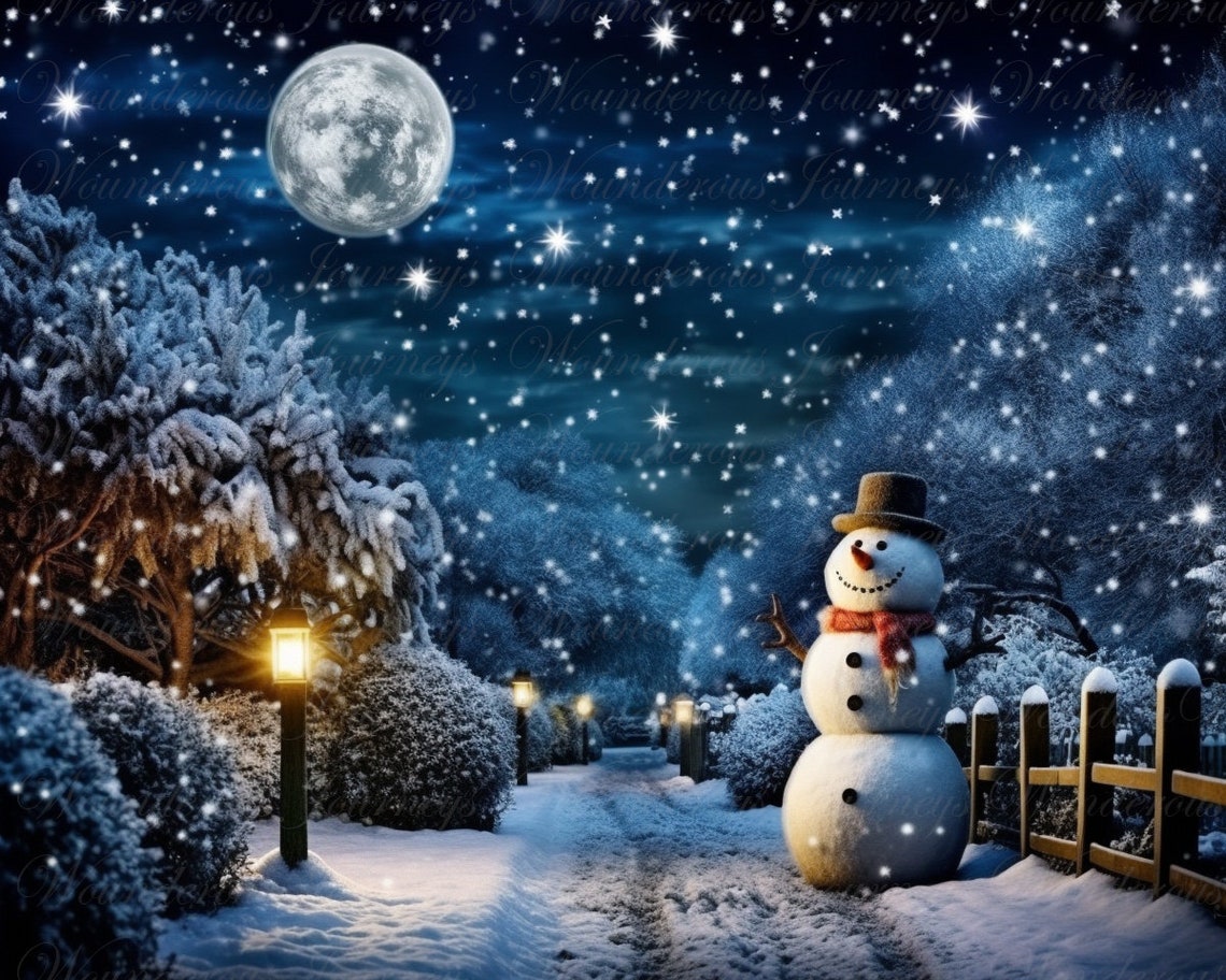 Christmas Backdrop, Winter Magic, Winter, Snowy Forest, Magical ...