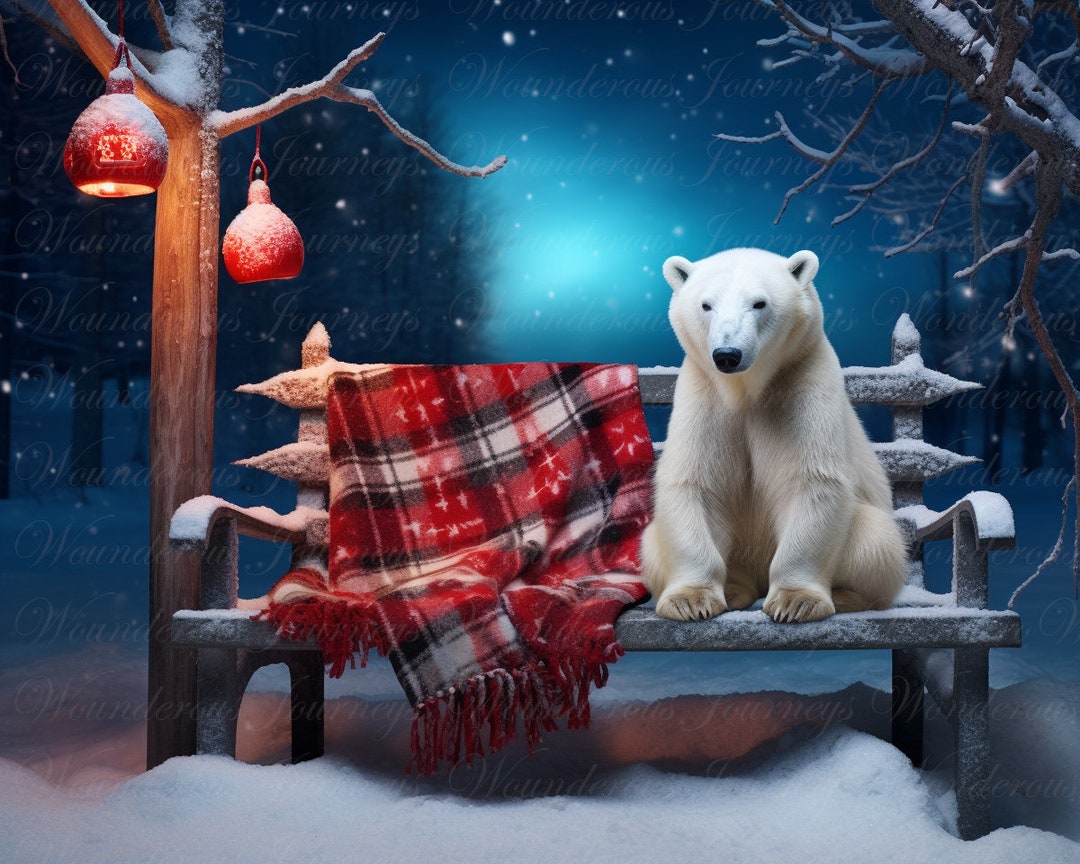 Christmas Backdrop, Winter Magic, Winter, Snowy Forest, Magical ...