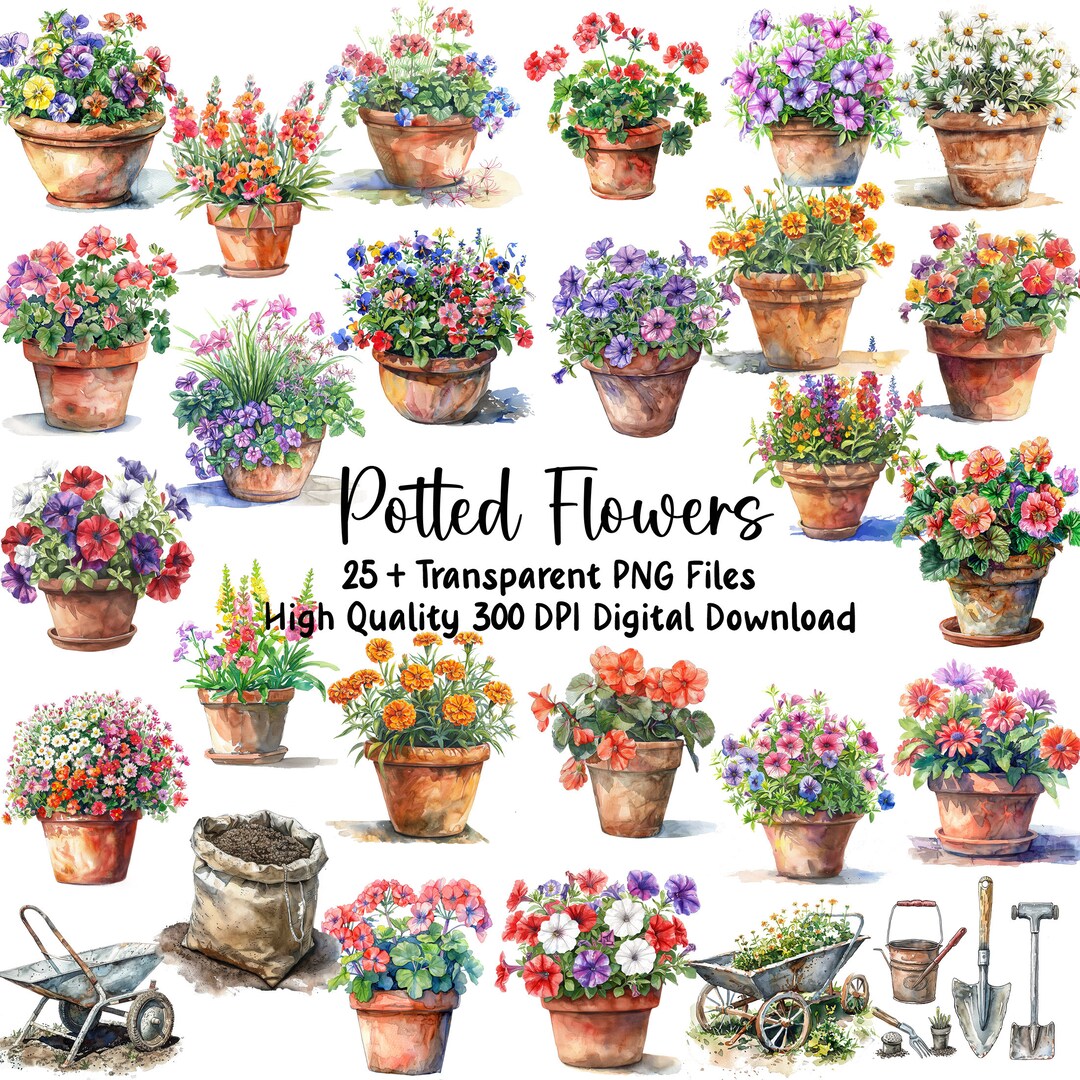 Beautiful Potted Flowers Clipart, Gardening Flowers in Clay Pots, PNG ...