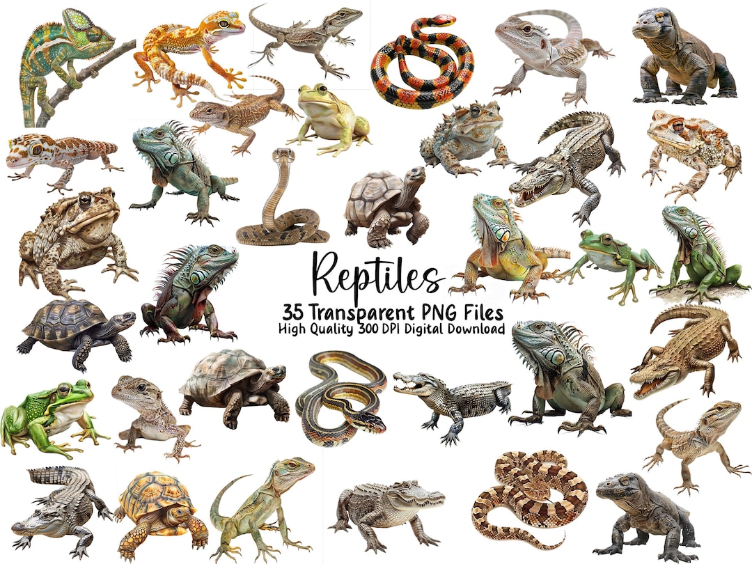 Watercolor Reptile Clipart: Exotic Animal Illustrations (commercial Use ...