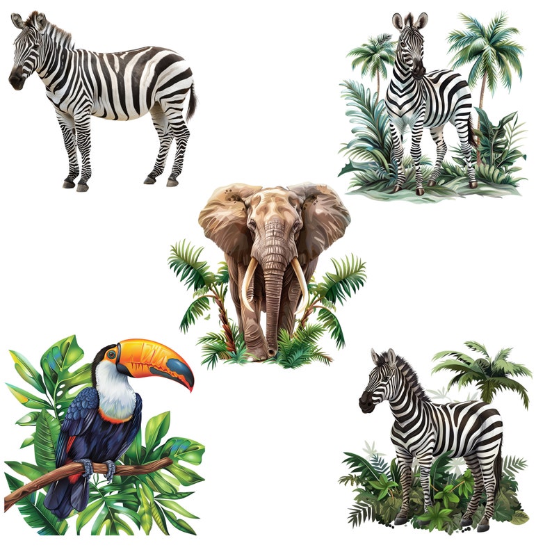 Safari Animals Clipart, Safari Clip Art, Lion, Zebra, Hippo, Monkeys ...