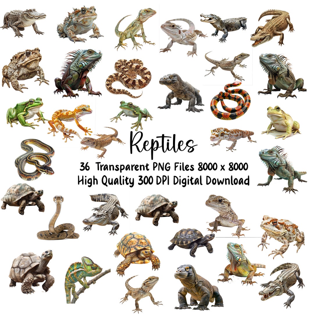 Reptiles Watercolor Clipart, Chameleon, Lizard, Snake, Turtle ...