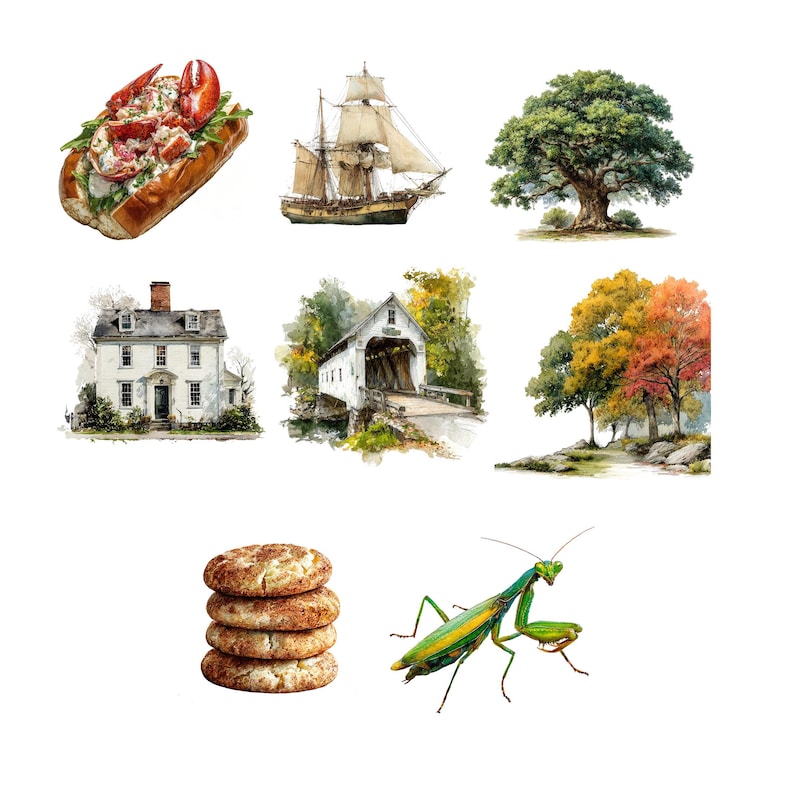 Connecticut Clipart | USA State, Landmarks, Symbols, Crafts, Printables ...