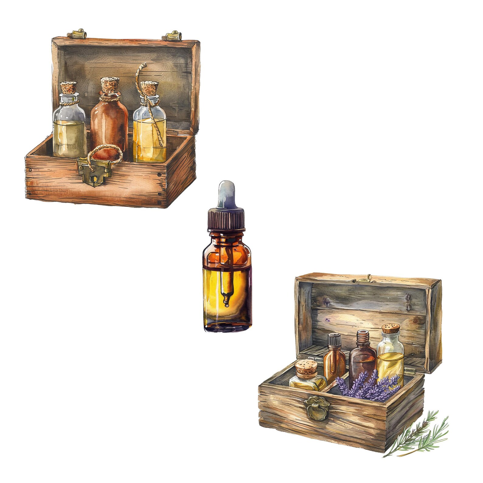 Watercolor Essential Oils Clipart: Aromatherapy PNG Images (digital ...