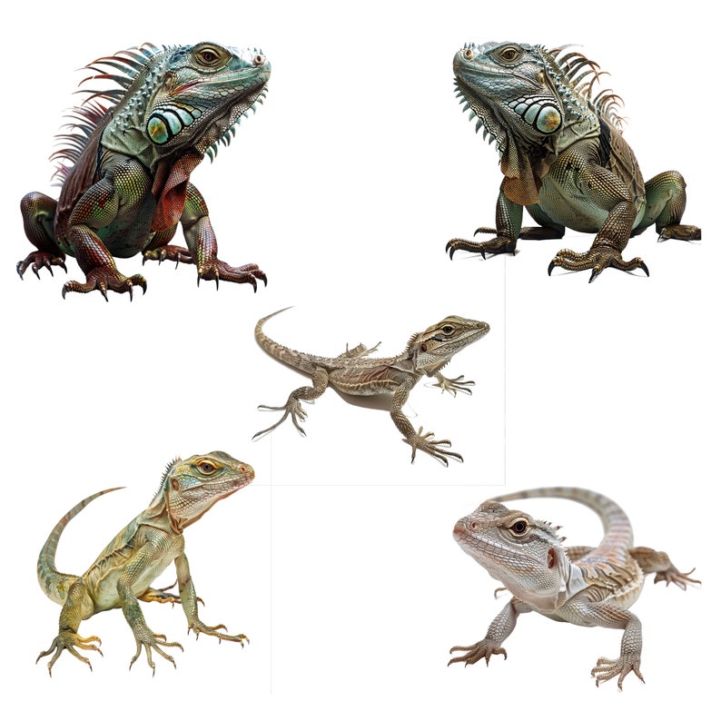 Reptiles Watercolor Clipart, Chameleon, Lizard, Snake, Turtle ...