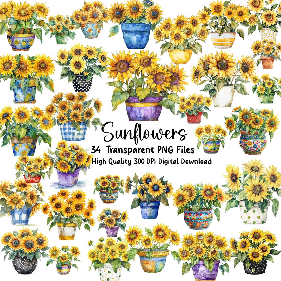 Potted Sunflowers Clipart: PNG Flowers in Clay Pots (digital Download ...