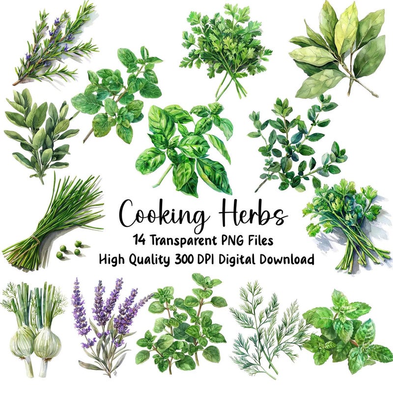 Recipe Medical - Etsy