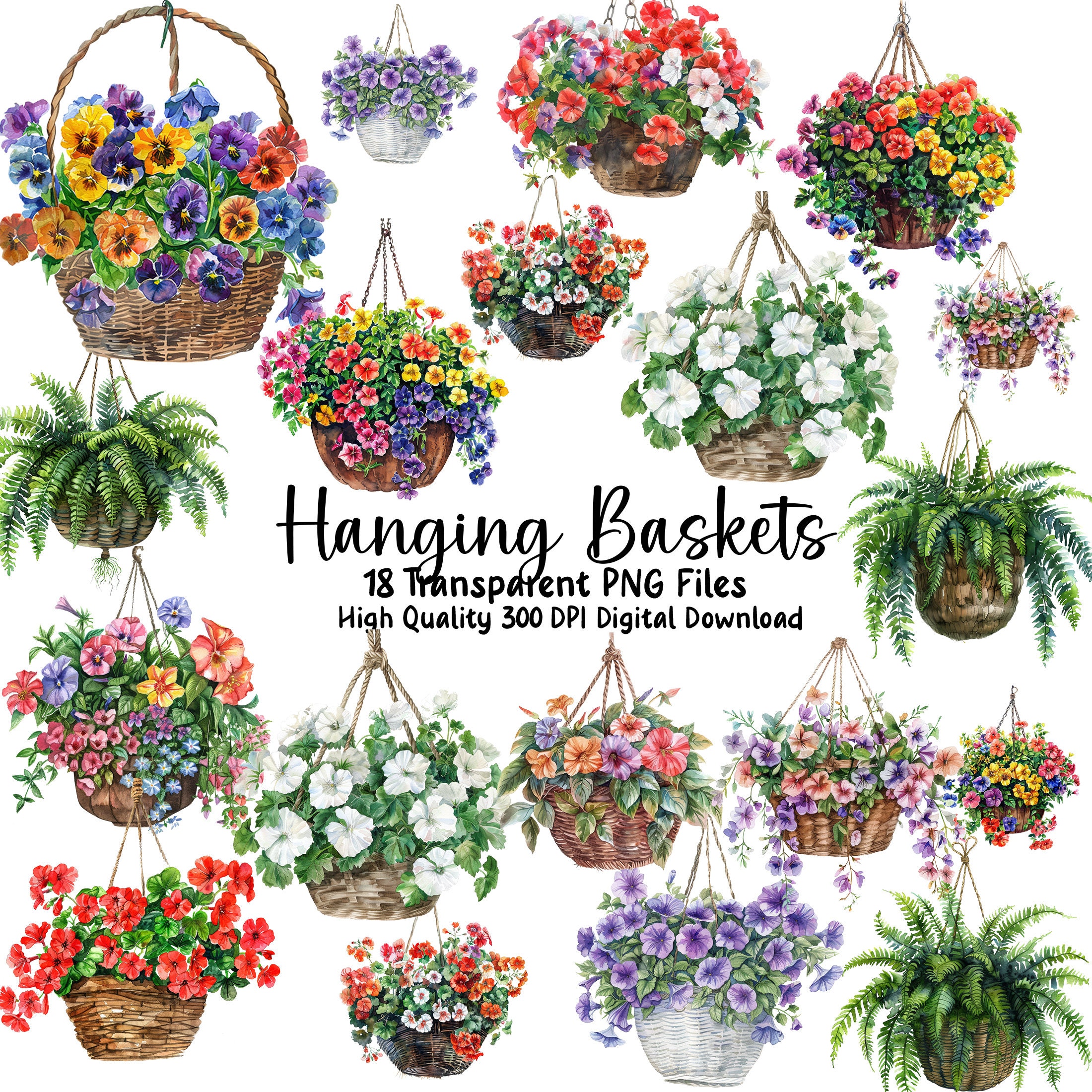 Beautiful Hanging Basket Clipart, Hanging Flowers, Fern Clipart, Plants ...
