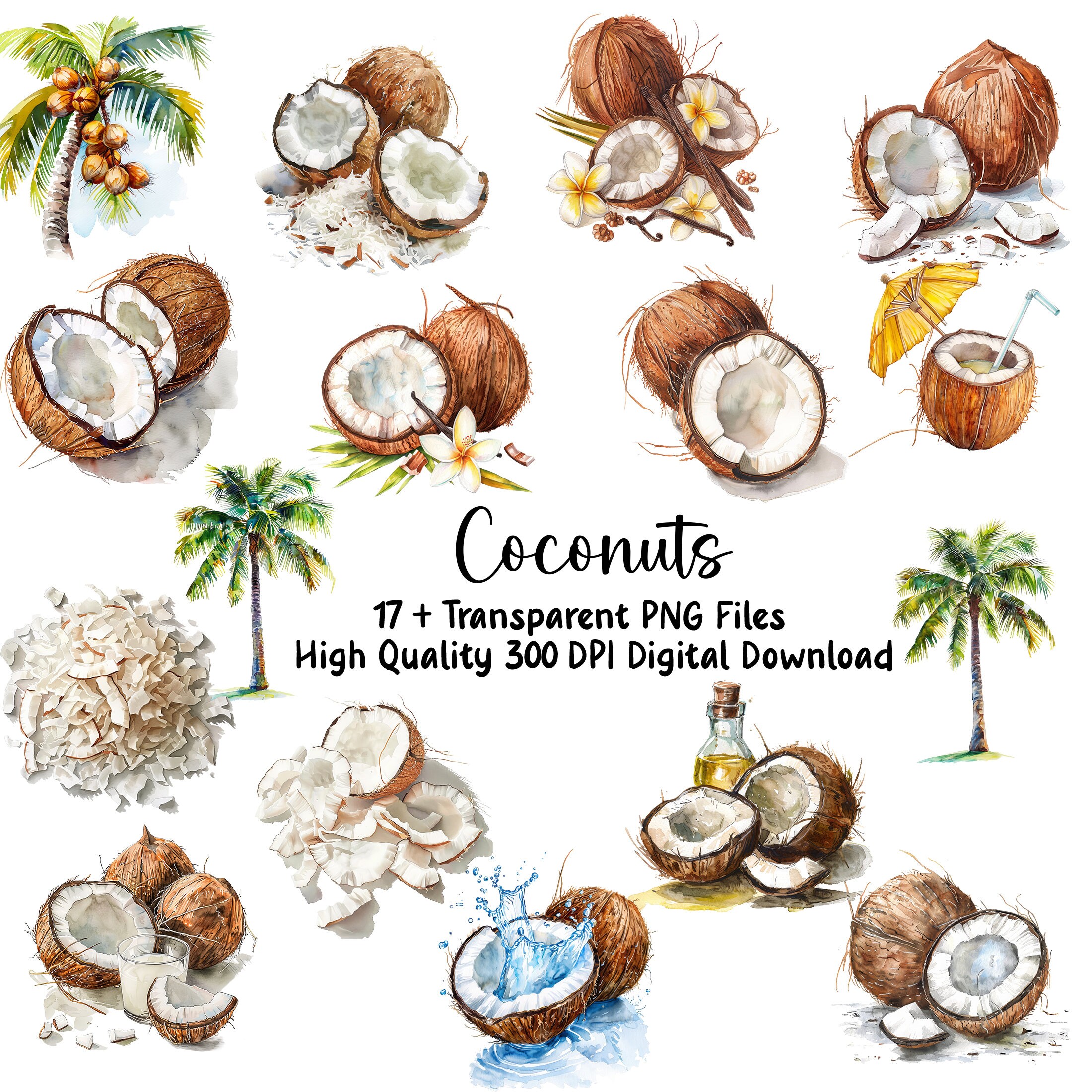 Watercolor Coconut Clipart, Fruit Images, Tropical Graphics, PNG ...