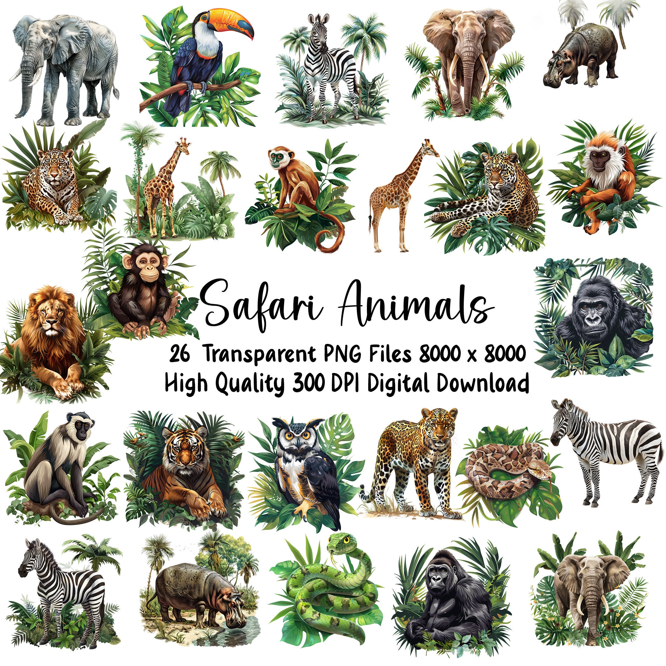 Safari Animals Clipart, Safari Clip Art, Lion, Zebra, Hippo, Monkeys ...