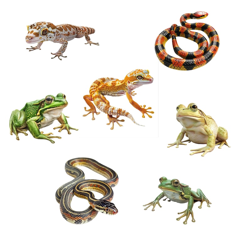 Watercolor Reptile Clipart: Exotic Animal Illustrations (commercial Use ...