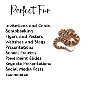 Reptiles Watercolor Clipart, Chameleon, Lizard, Snake, Turtle ...