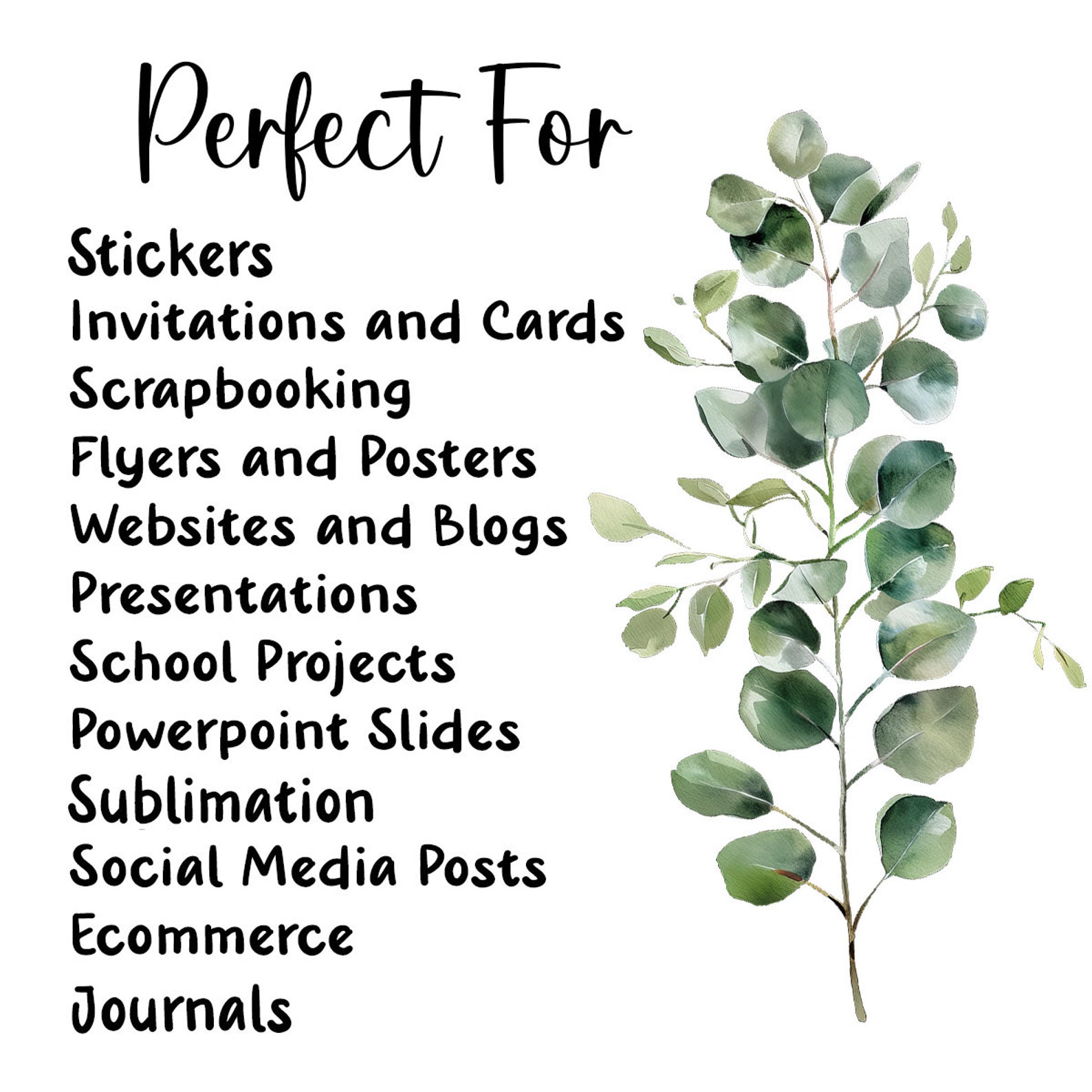 Eucalyptus Clipart, PNG, Watercolor Eucalyptus Clip Art, Green Leaves ...