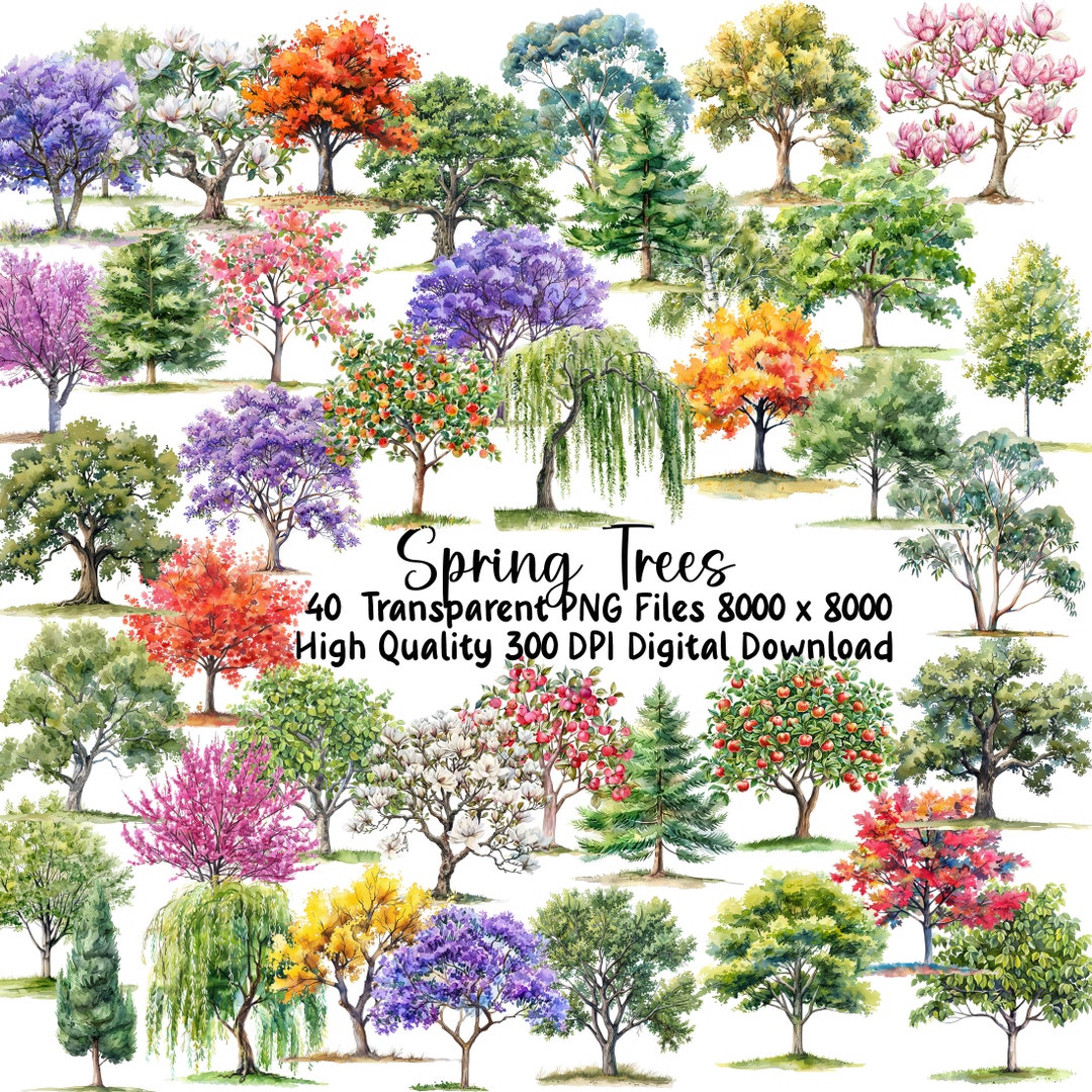 Watercolor Spring Trees Clipart Bundle - PNG Colorful Tree Images ...