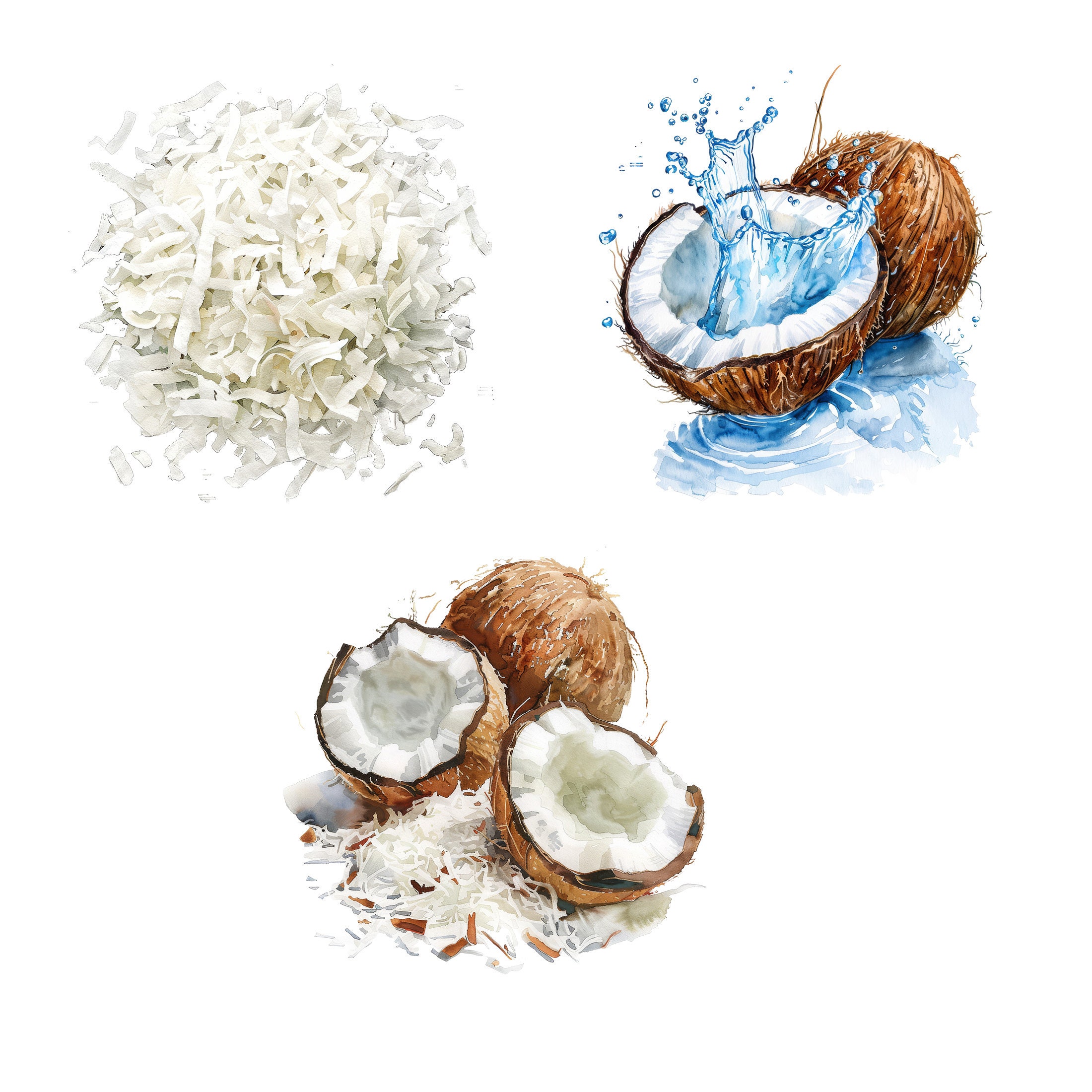 Watercolor Coconut Clipart, Fruit Images, Tropical Graphics, PNG ...