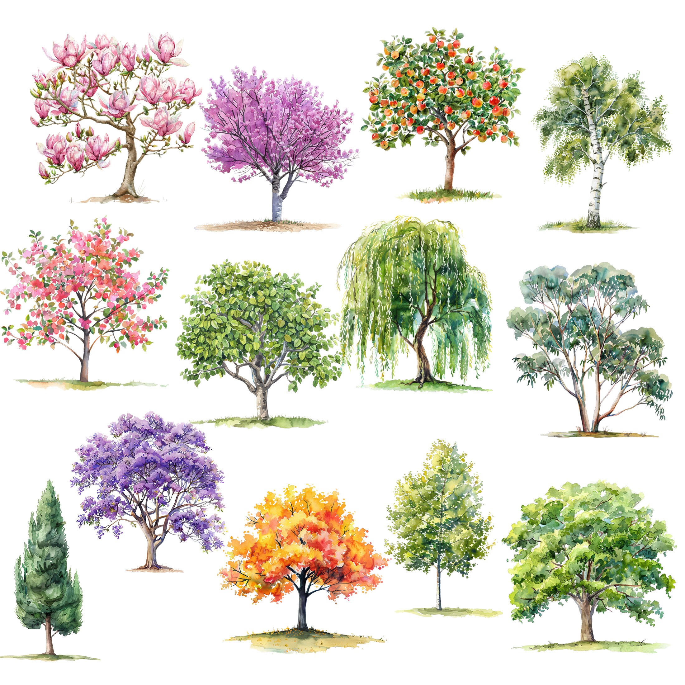 Watercolor Spring Trees Clipart Bundle PNG Colorful Tree Images ...
