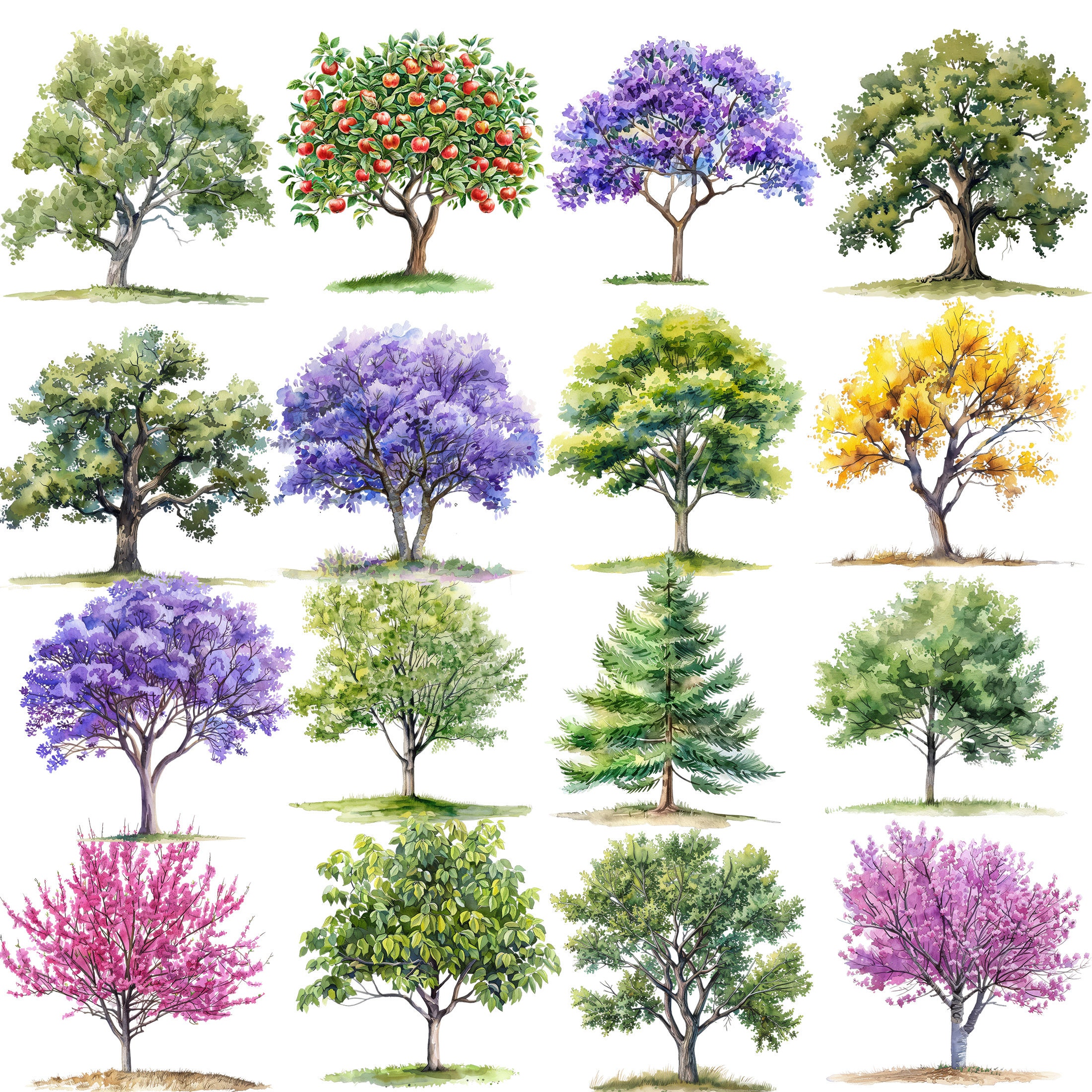 Watercolor Spring Trees Clipart Bundle PNG Colorful Tree Images ...