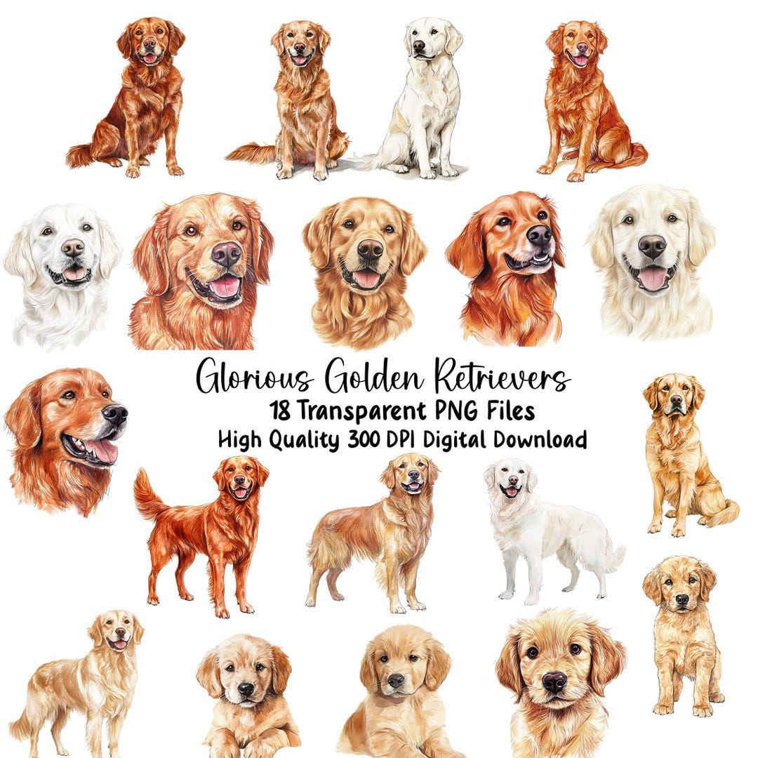 Watercolor Golden Retriever Clipart: Dog Illustrations, Planner ...