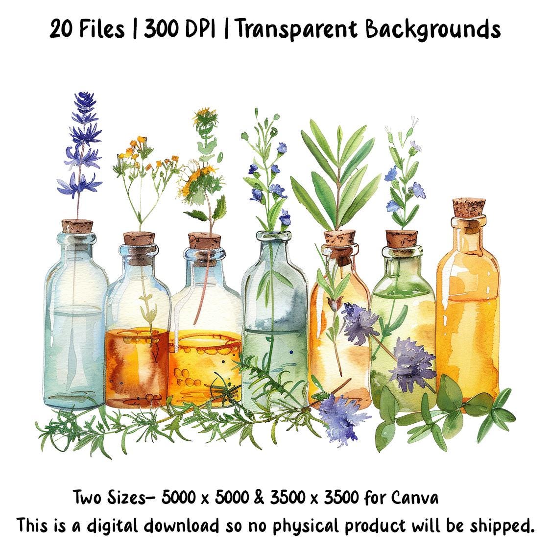 Watercolor Essential Oils Clipart: Aromatherapy PNG Images (digital ...