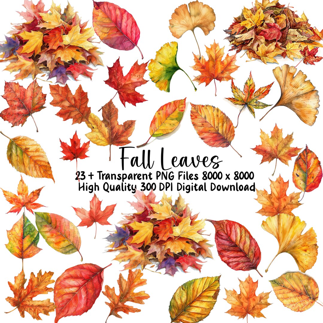 Watercolor Fall Leaves Clipart: PNG Autumn Graphics (commercial Use) - Etsy