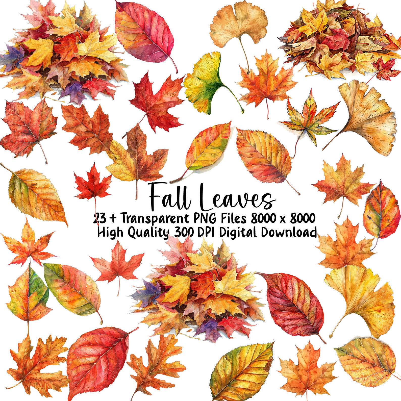 Watercolor Fall Leaves Clipart Bundle PNG Colorful Leaf Images, Fall ...
