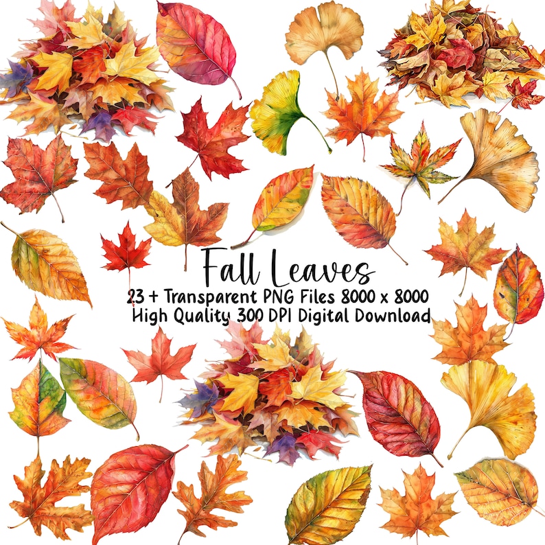 Watercolor Fall Leaves Clipart Bundle PNG Colorful Leaf Images, Fall ...
