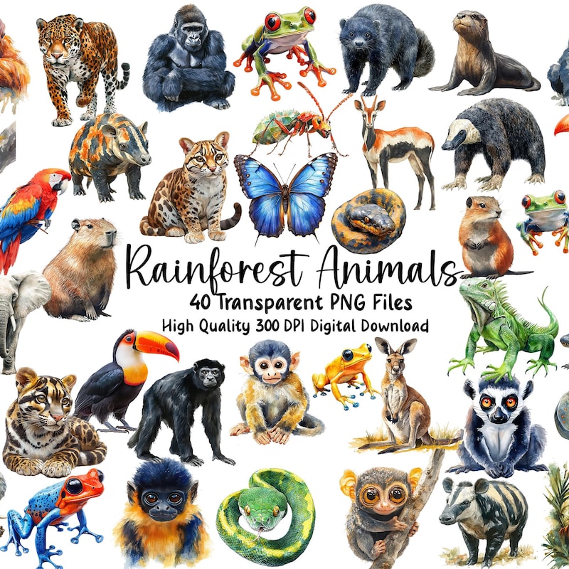 Rainforest Art Canvas - Etsy UK