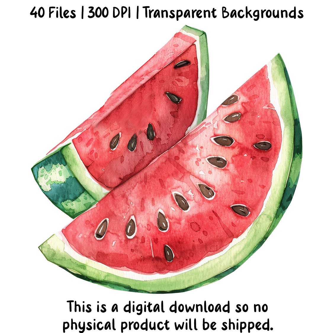Watercolor Watermelon Clipart Digital Png Summer Fruit Graphics Instant ...
