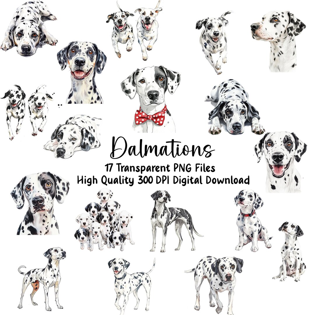 Clipart de perro dálmata en acuarela, imágenes de animales, dálmatas ...