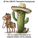 Cowboy Cactus Clipart, Whimsical Cacti Clipart, PNG, Invitations ...