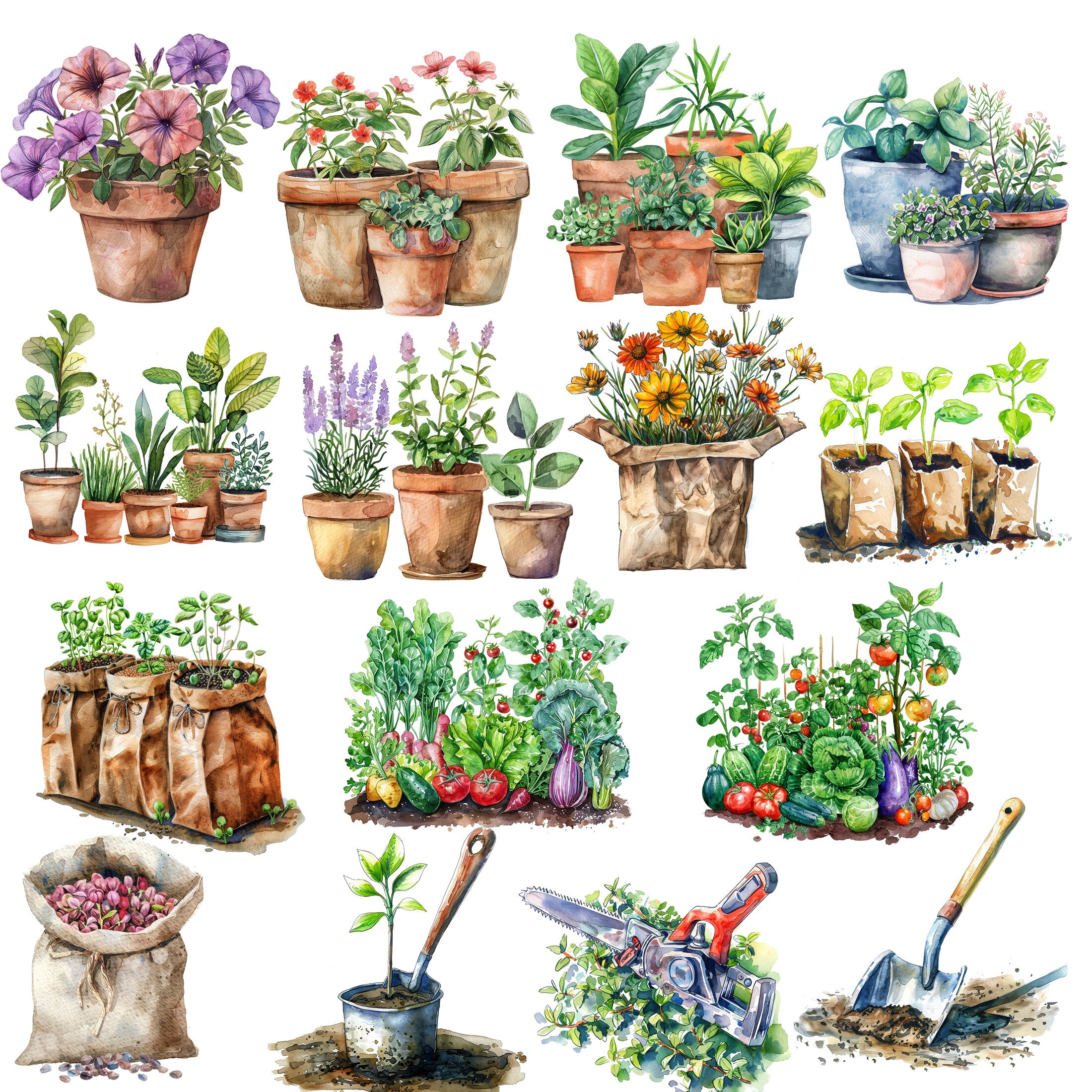 Watercolor Gardening Clipart Set: Flowers, Vegetables, Greenhouses (PNG ...