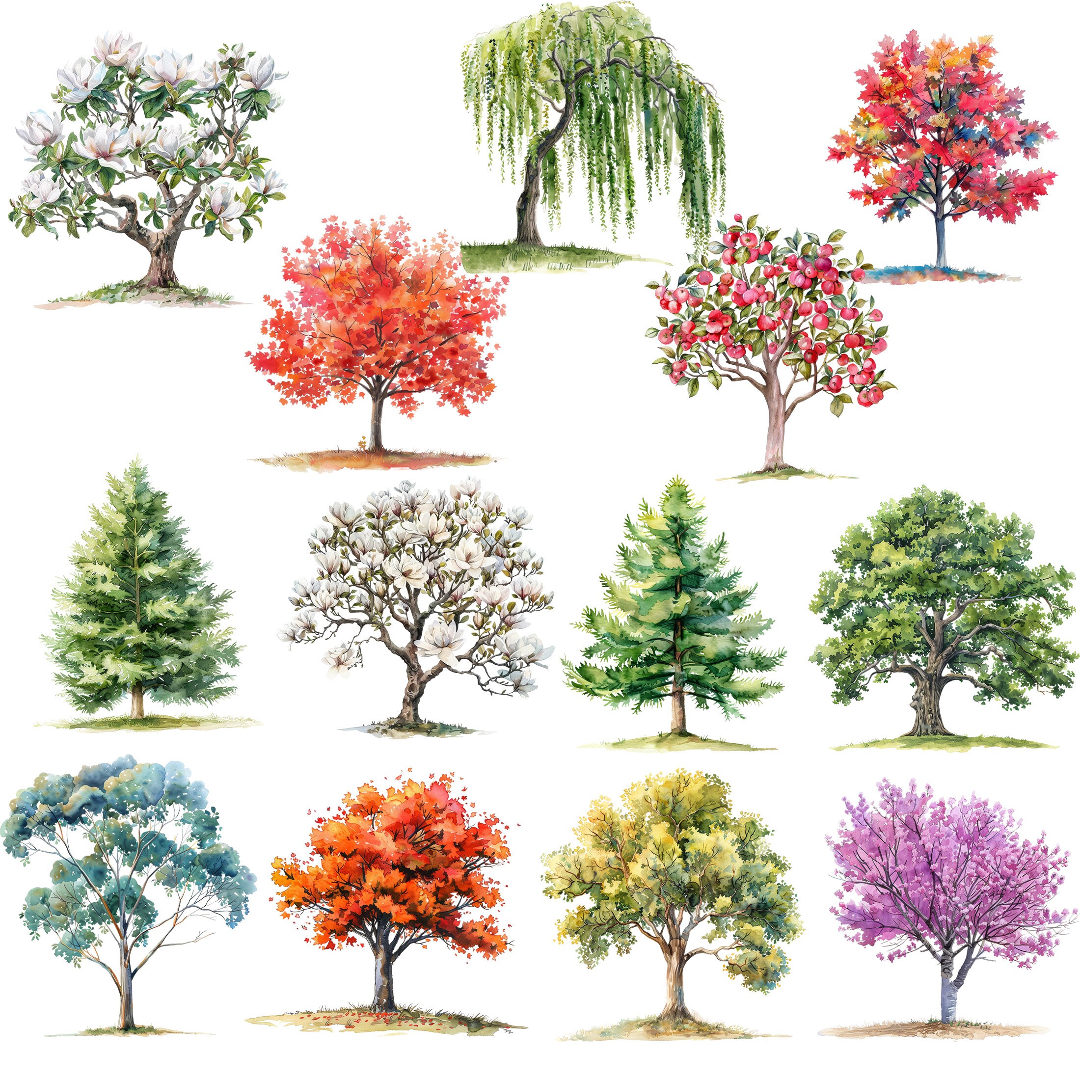 Watercolor Spring Trees Clipart Bundle PNG Colorful Tree Images ...