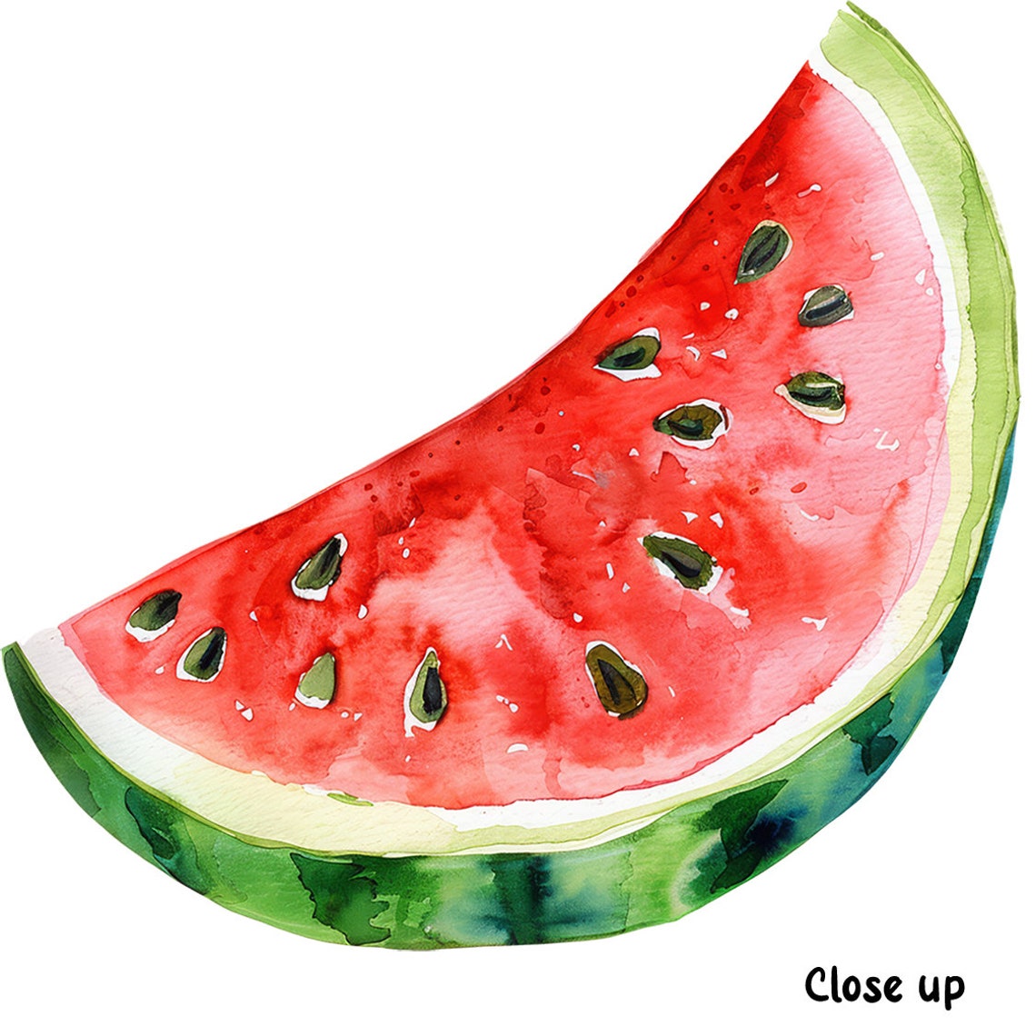 Watercolor Watermelon Clipart Digital Png Summer Fruit Graphics Instant ...
