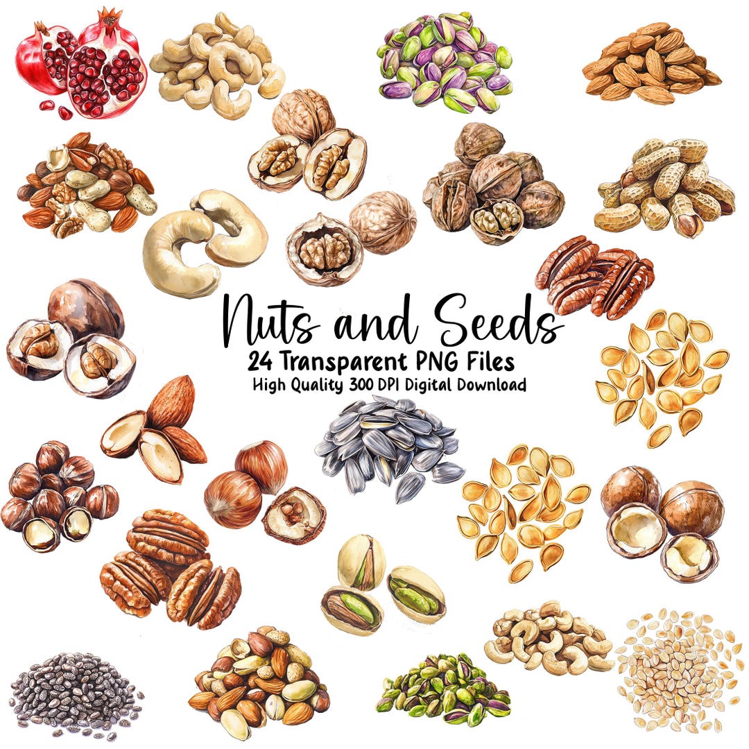 Nuts and Seeds Clipart: Healthy Food Illustrations (digital Download ...