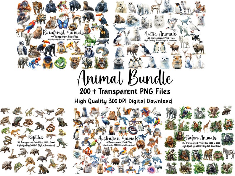 Animal Clipart Bundle: Arctic, Safari, Rainforest, Reptiles (digital ...
