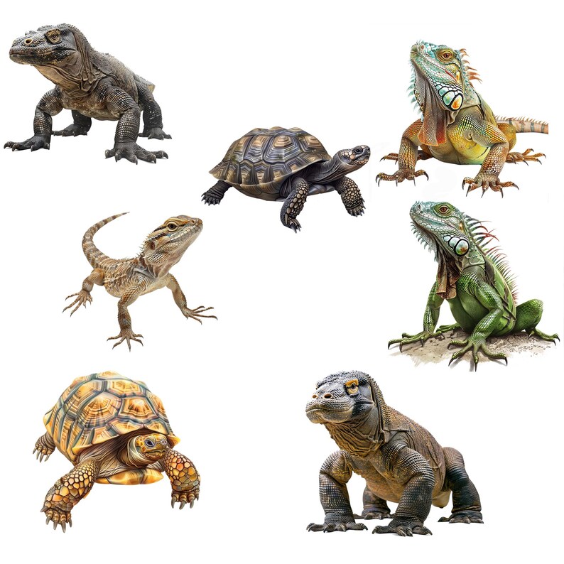 Watercolor Reptile Clipart: Exotic Animal Illustrations (commercial Use ...