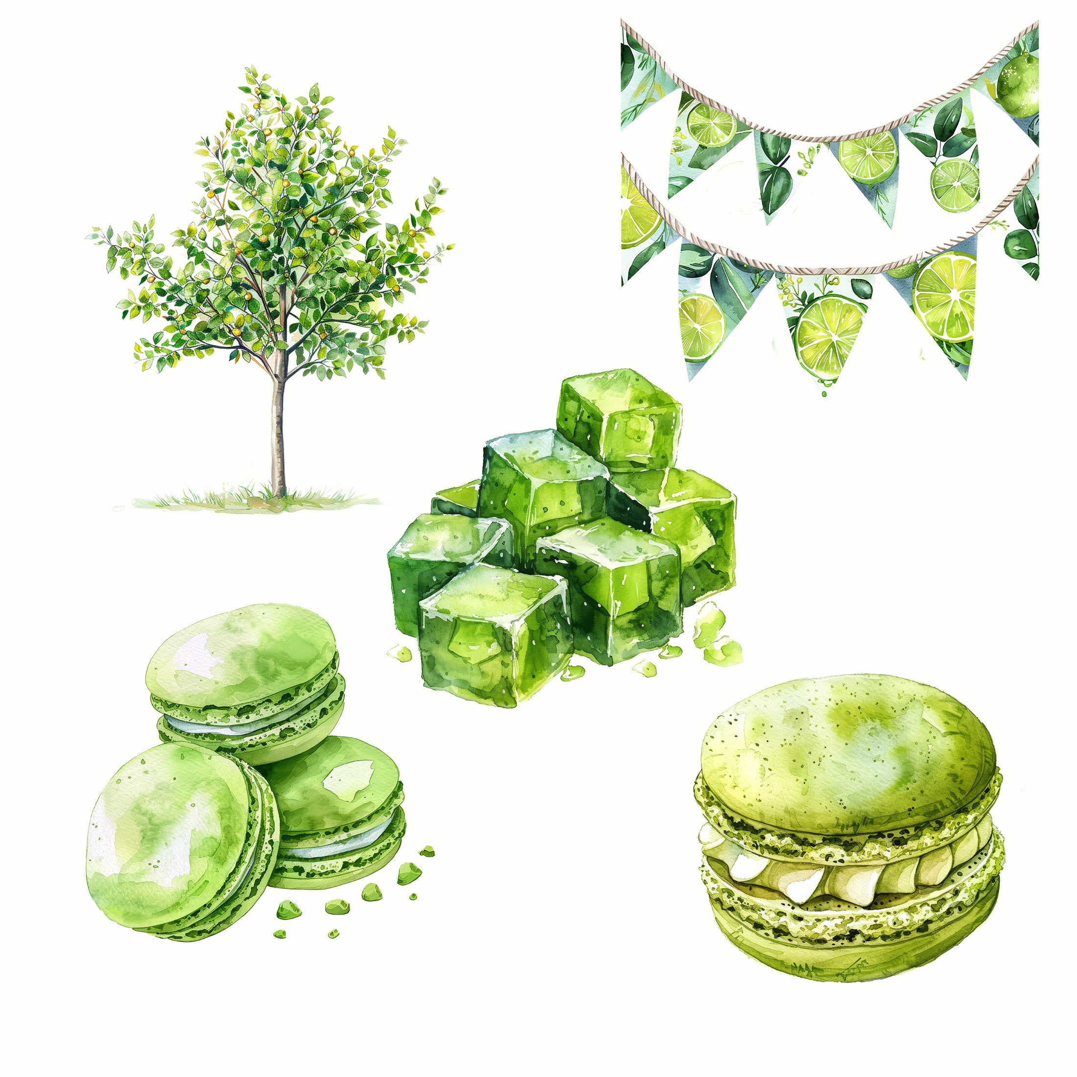 Watercolor Lime Clipart, PNG Files, Invitations, Menus, Commerical Use ...