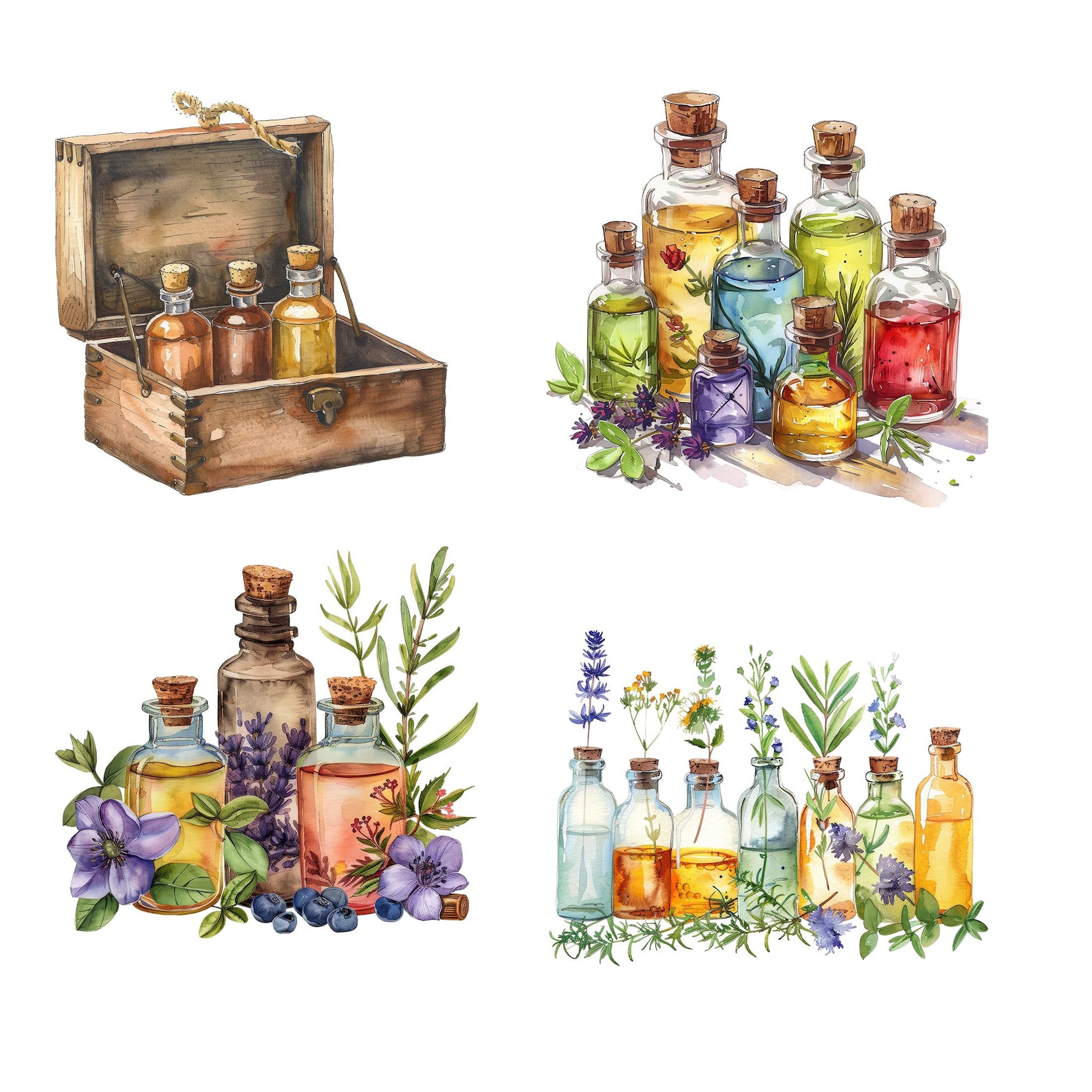 Watercolor Essential Oils Clipart: Aromatherapy PNG Images (digital ...