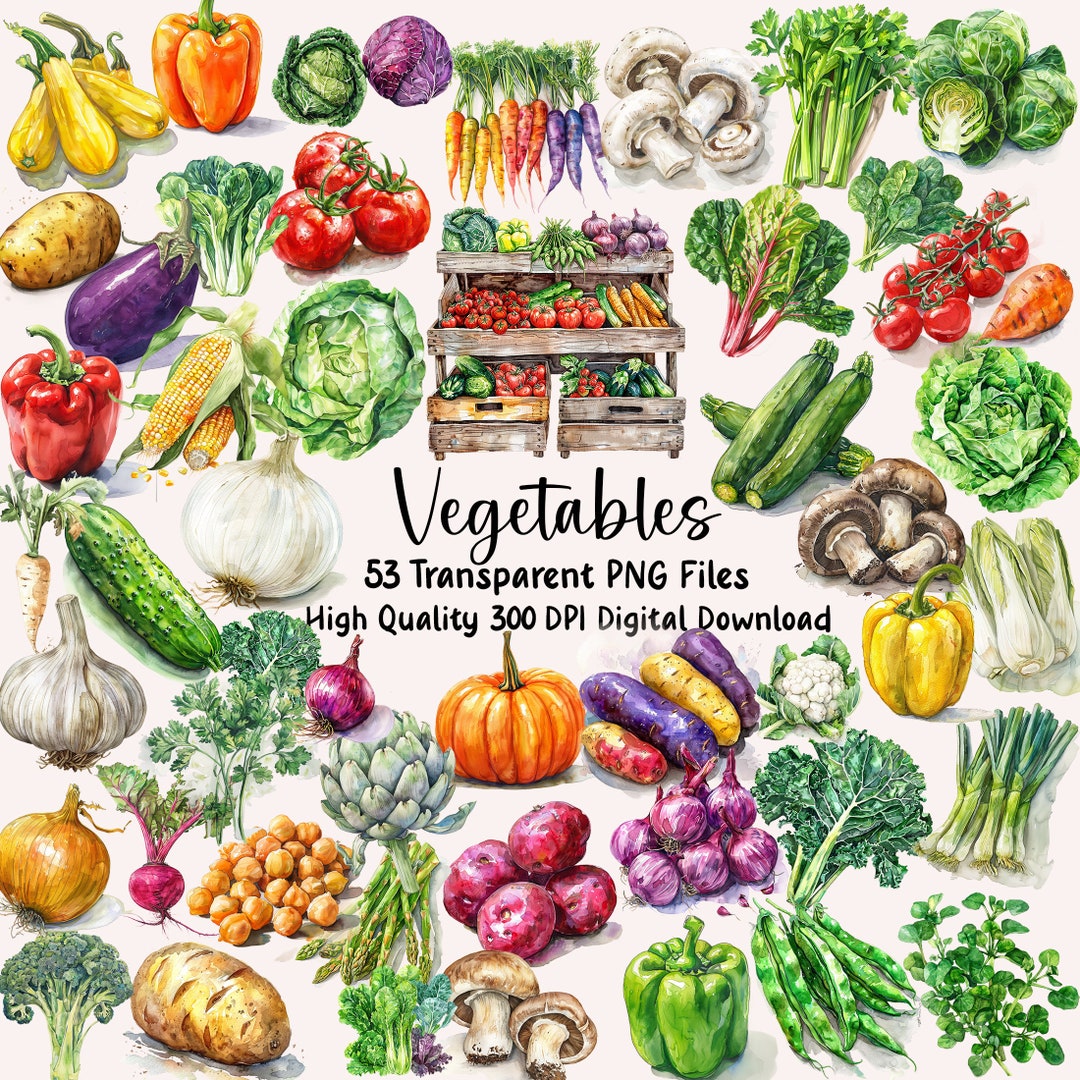 Watercolor Vegetable Clipart, Fresh Vegetable Images, PNG Files ...