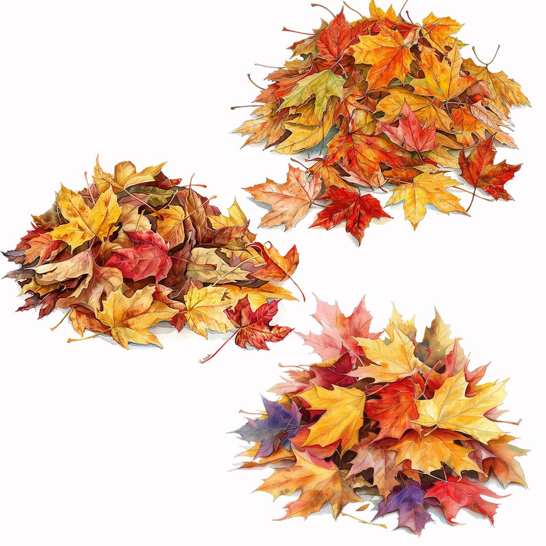 Watercolor Fall Leaves Clipart Bundle PNG Colorful Leaf Images, Fall ...