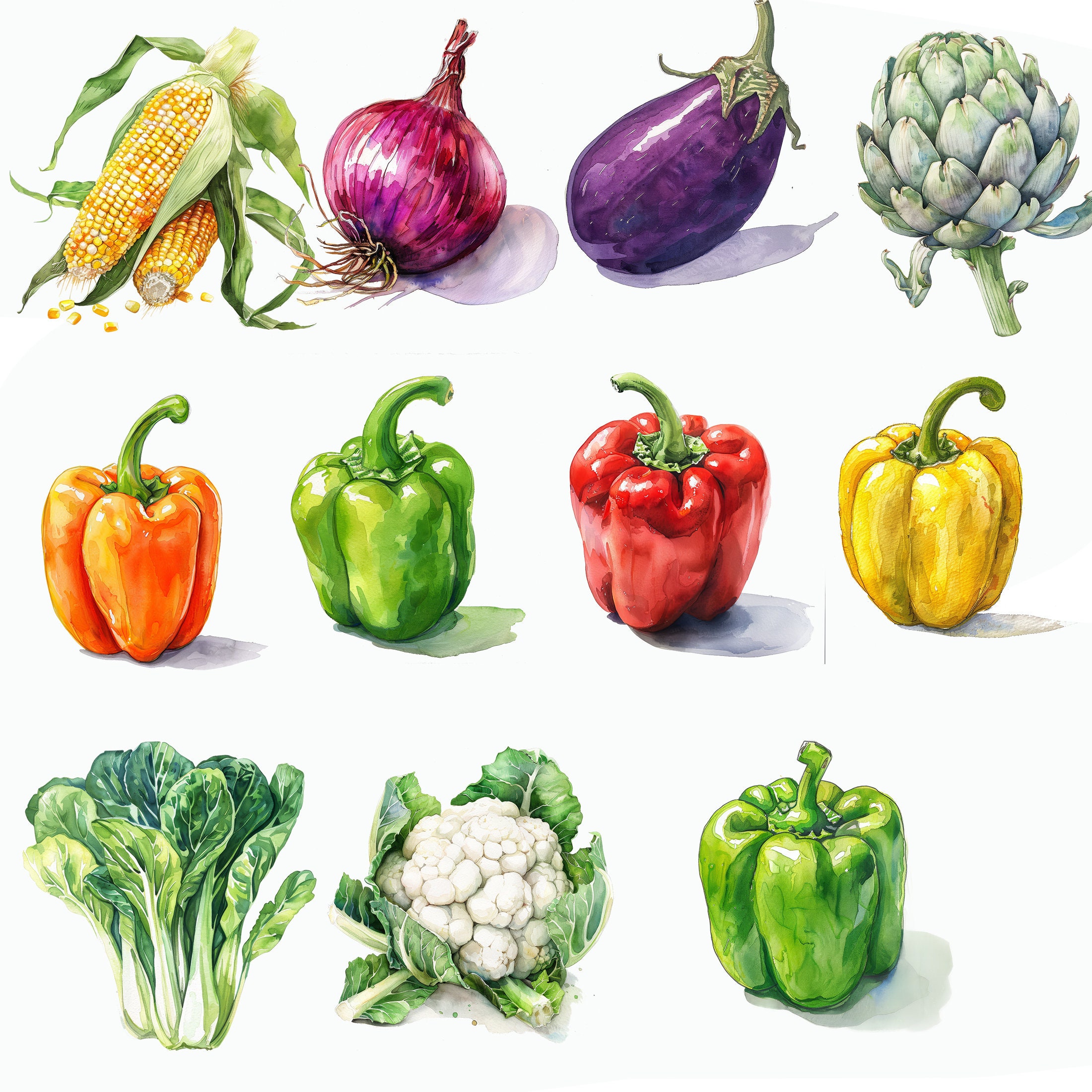 Watercolor Vegetable Clipart, Fresh Vegetable Images, PNG Files ...
