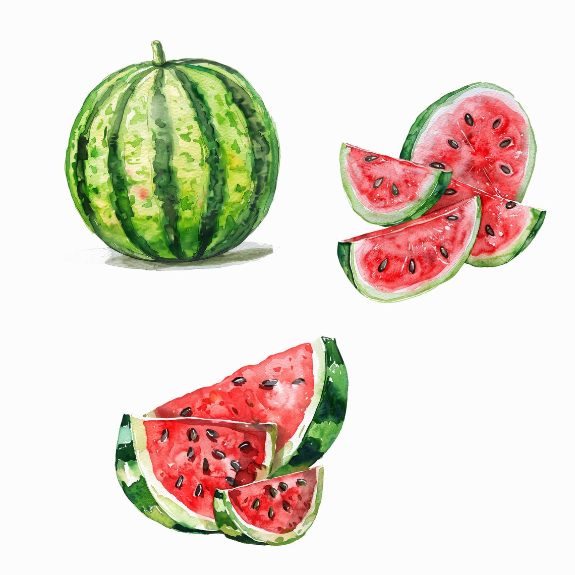 Watercolor Watermelon Clipart Digital Png Summer Fruit Graphics Instant ...