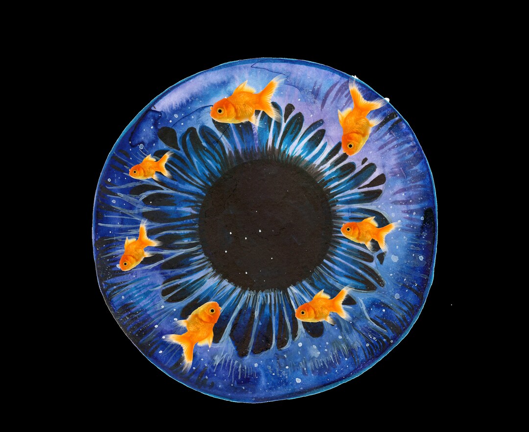 Fish Eye PNG File Cool Unique SVG Download Hoodie T-shirt Videographer ...